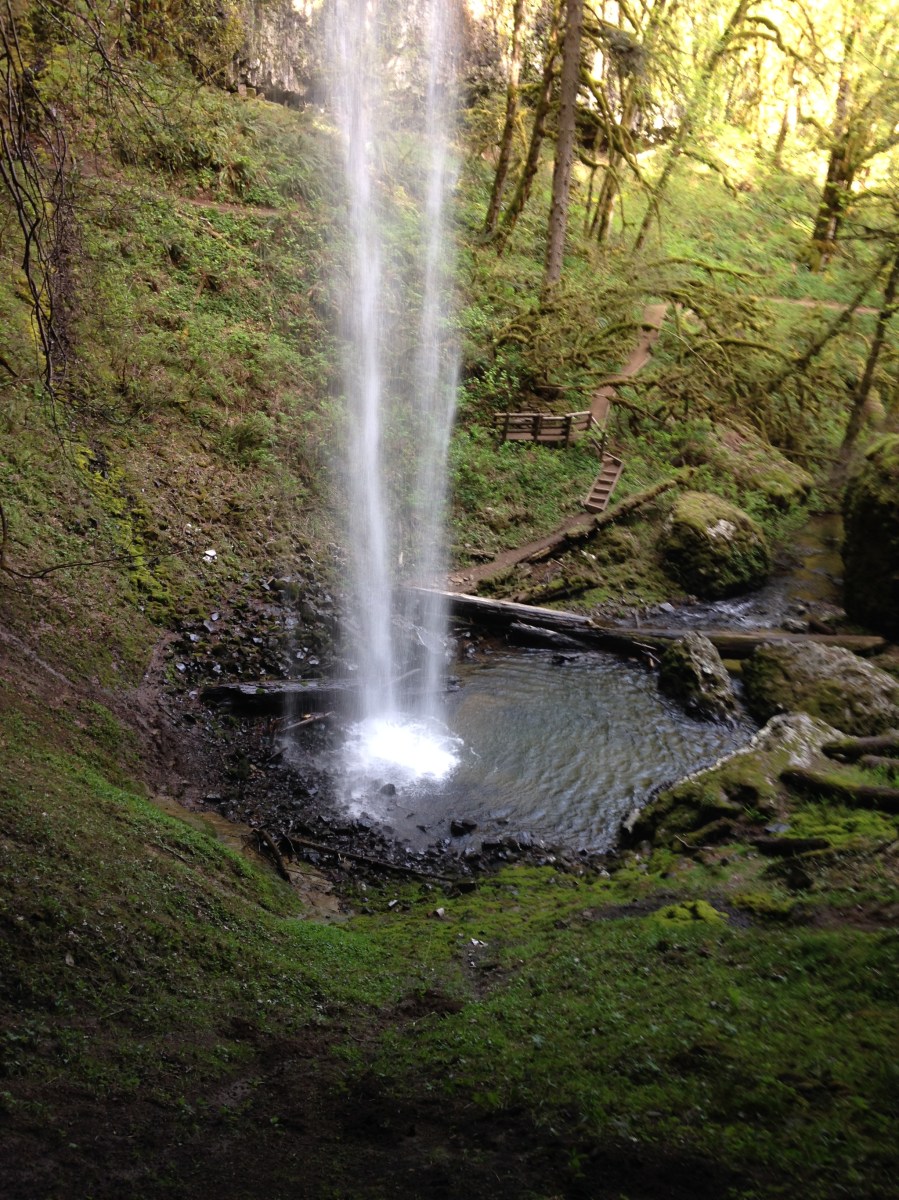 Lesson – Introduction to Biomes – Talking and Teaching Science