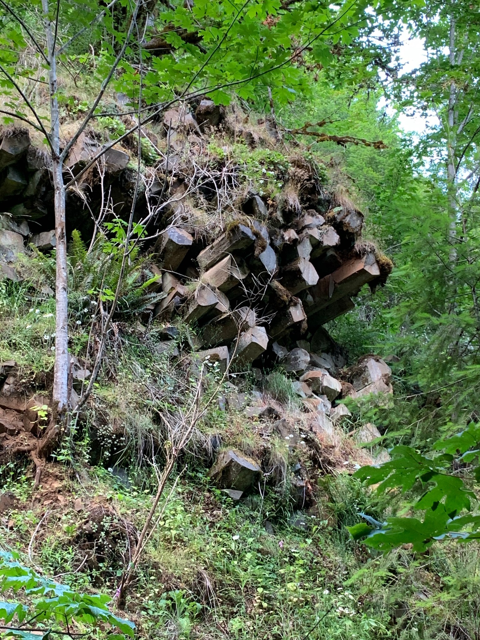 Rock Wall and Waterfall – Talking and Teaching Science