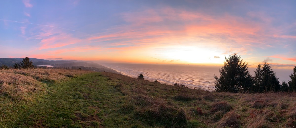 Questioning and Debates – Talking and Teaching Science